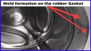 Mold in Washing Machine? Here's How to Remove It