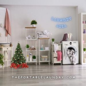 12 Laundry Gifting Ideas for Christmas (Best Ideas)