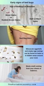 Early bed bug stains on sheets? Do this to remove