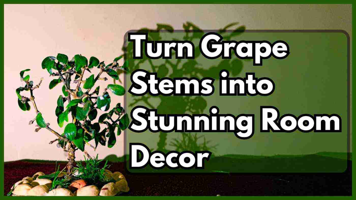 10 Simple Steps to Turn Grape Stems into Stunning Room Decor