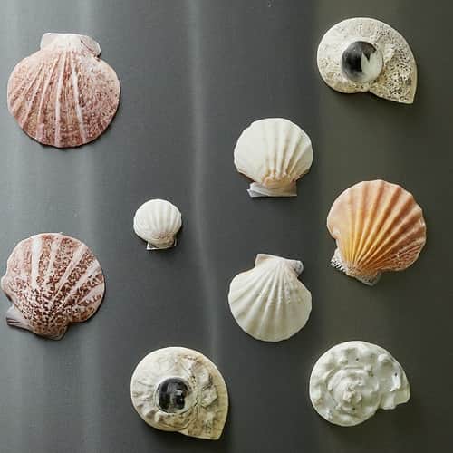 11 DIY Seashell Magnets for Your Fridge