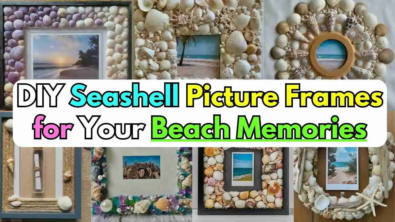 9 DIY Seashell Picture Frames for Your Beach Memories
