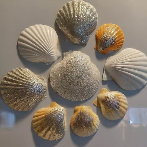 11 DIY Seashell Magnets for Your Fridge