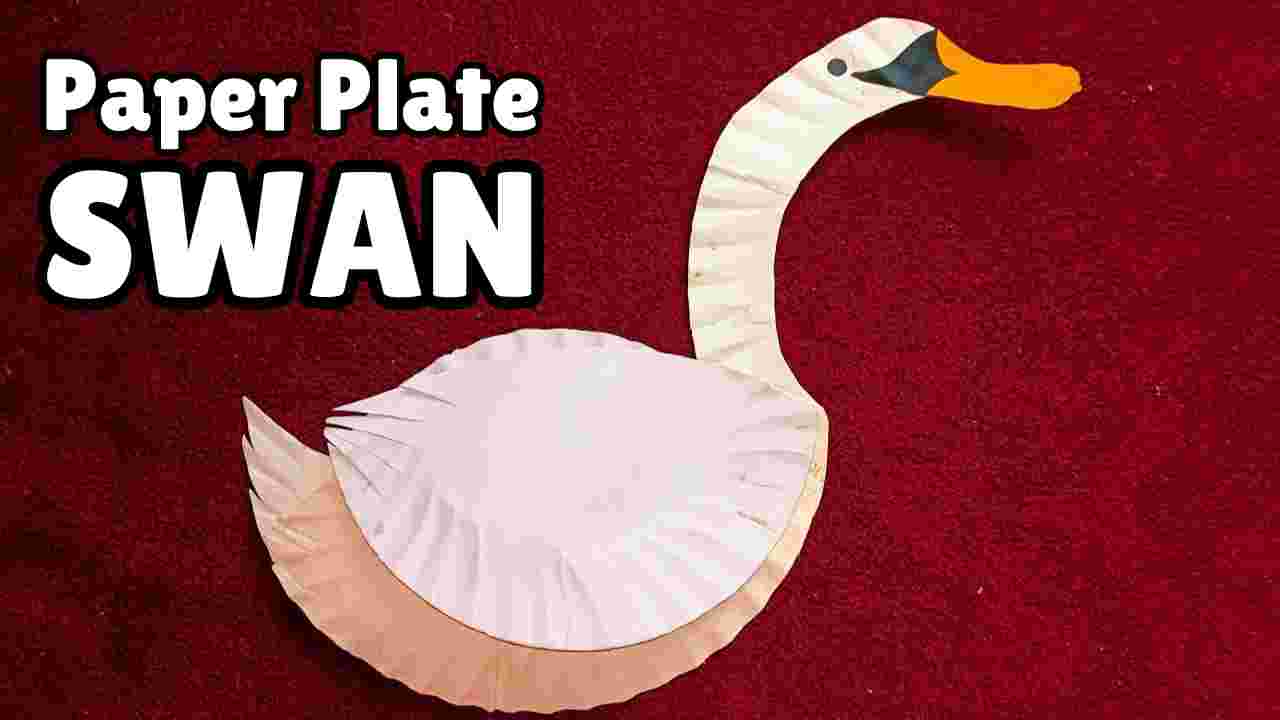 Paper plate Swan Craft for Kids (Easy Instructions)