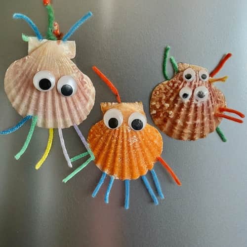 11 DIY Seashell Magnets for Your Fridge