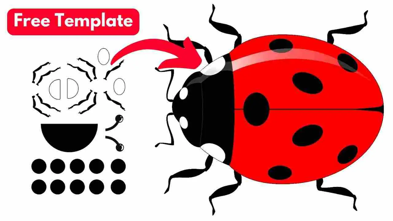 Lifelike Paper Plate Ladybug Craft (Template Included)