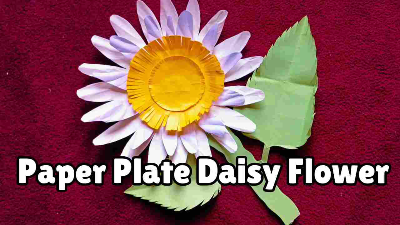 Paper Plate Daisy Flower Craft for kids