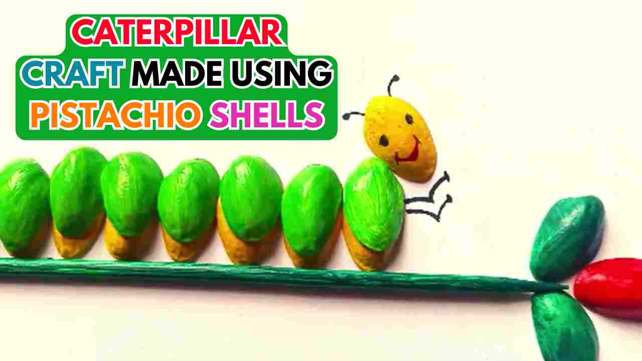 Pistachio Shells Caterpillar Craft (Creative Craft Idea)