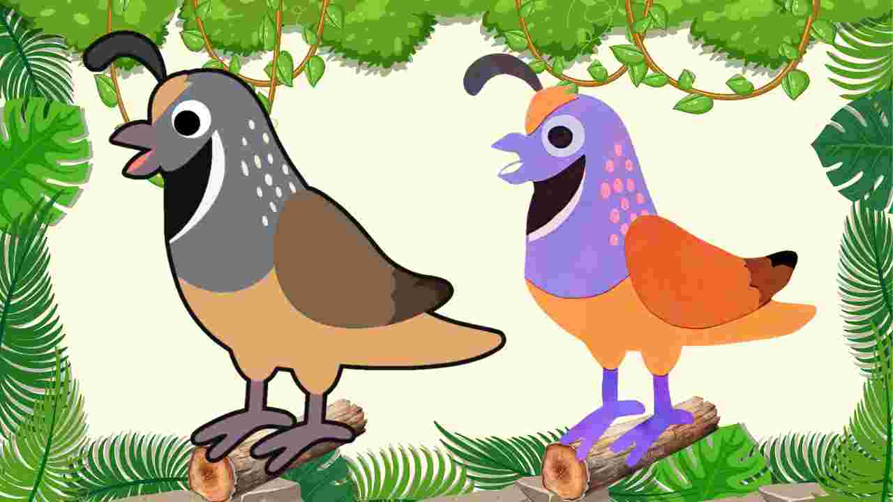Quail: Paper Quail Craft for KIDS (With Template)