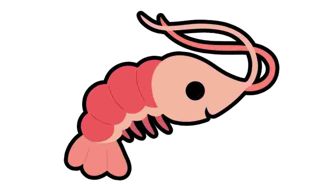 Paper Shrimp Craft for KIDS (Cuteness Overloaded)