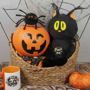 14 Must Try Spooktacular Boo Basket Ideas for Fun Halloween