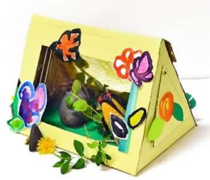 7 Interesting Summer Insect Observation Jar Crafts For Kids